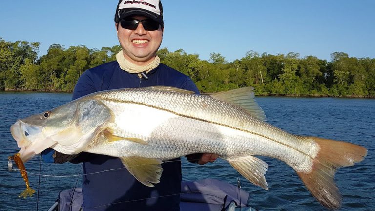 Robalo é peixe de água salgada que tem várias espécies