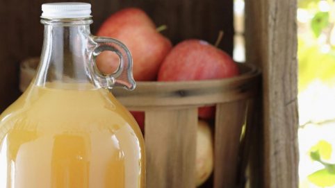 Cidra é uma fruta cítrica nativa do sudeste da Ásia e da Índia