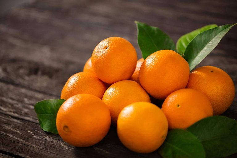 Os tipos de laranja mais populares no Brasil e cheios de benefícios